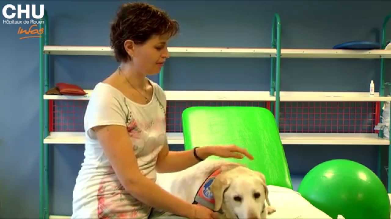 Ergothérapeute - Planète Campus